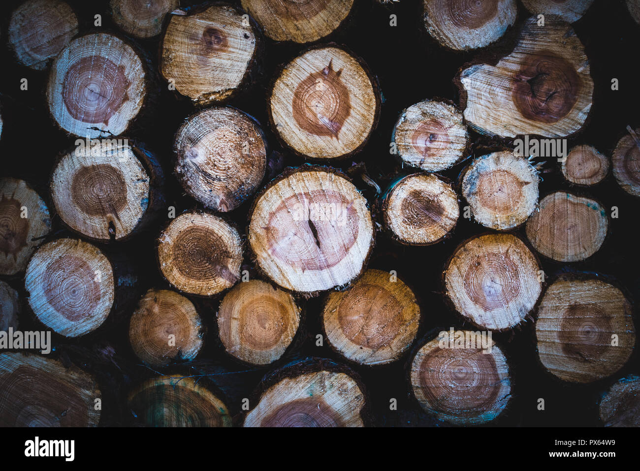 Cut Logs piled in stack/wall woodland scenery. Logging industry ...