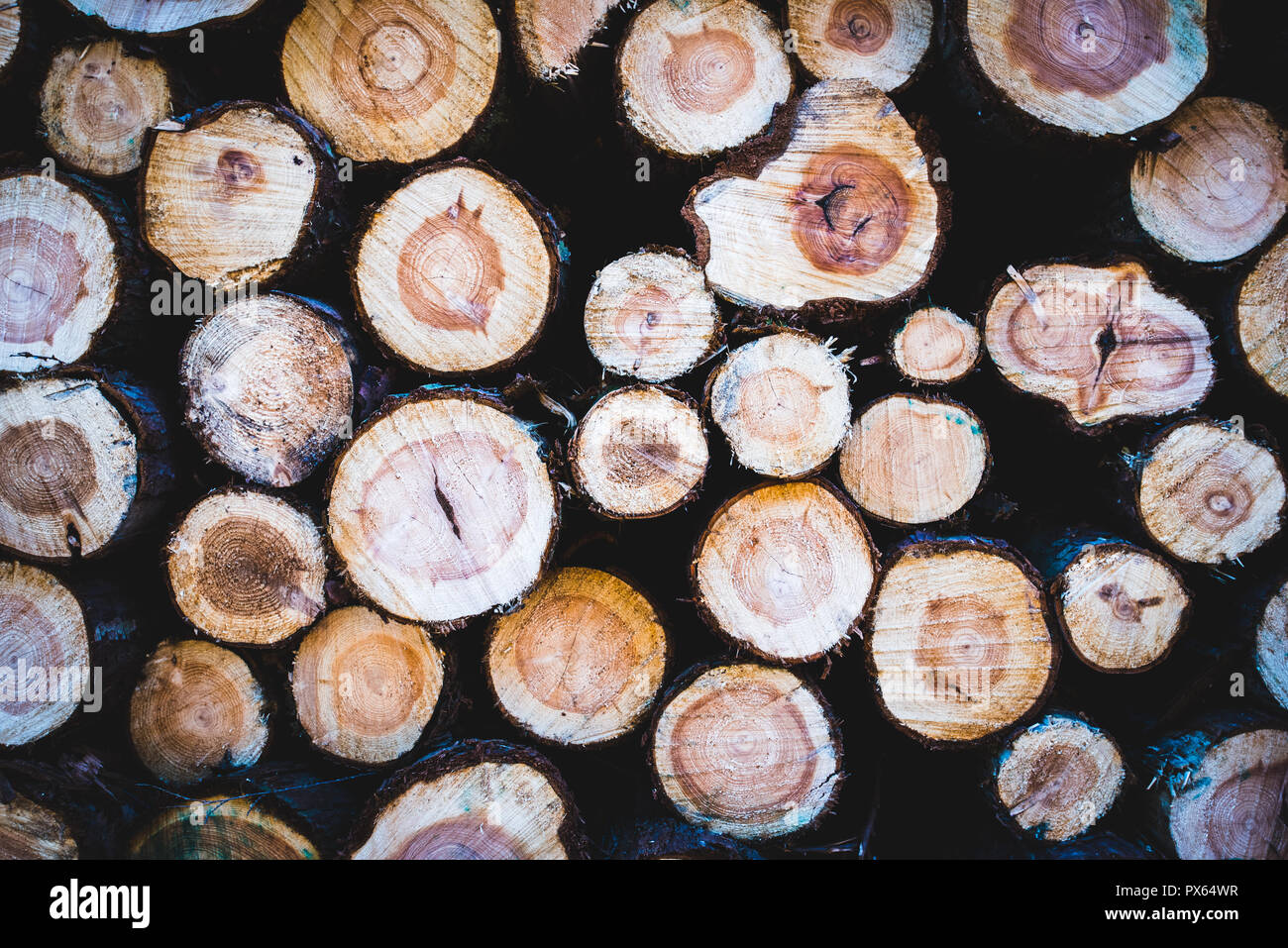 Cut Logs piled in stack/wall woodland scenery. Logging industry ...