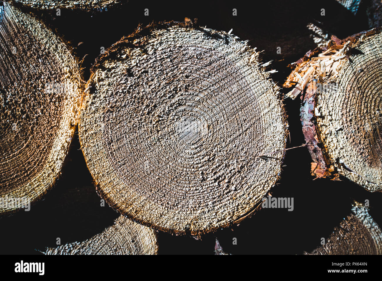Cut Logs piled in stack/wall woodland scenery. Logging industry ...