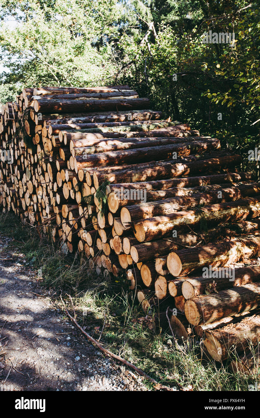 Cut Logs piled in stack/wall woodland scenery. Logging industry ...