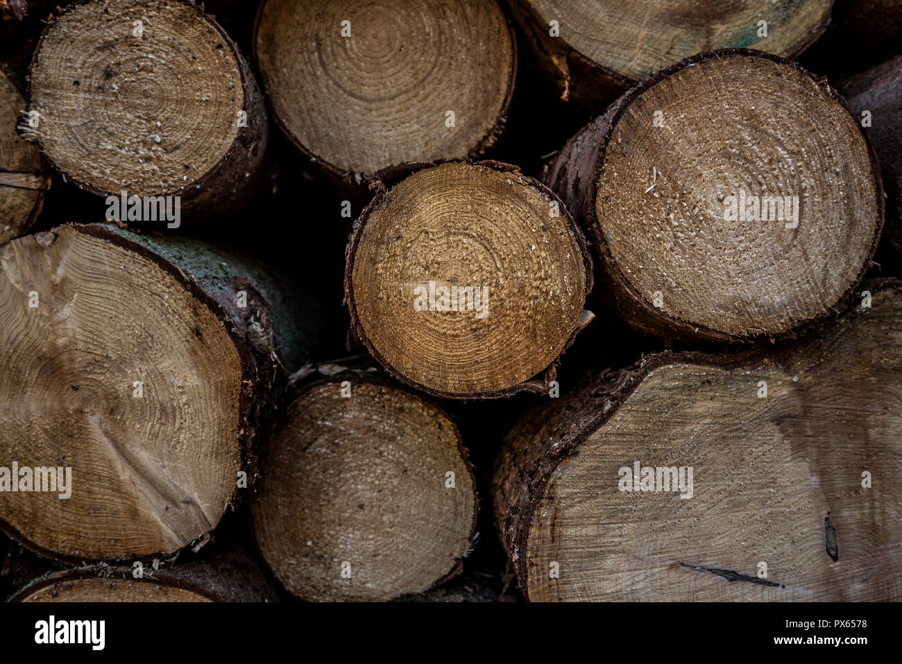 Cut Logs piled in stack/wall. Logging industry/Decoration Stock Photo ...