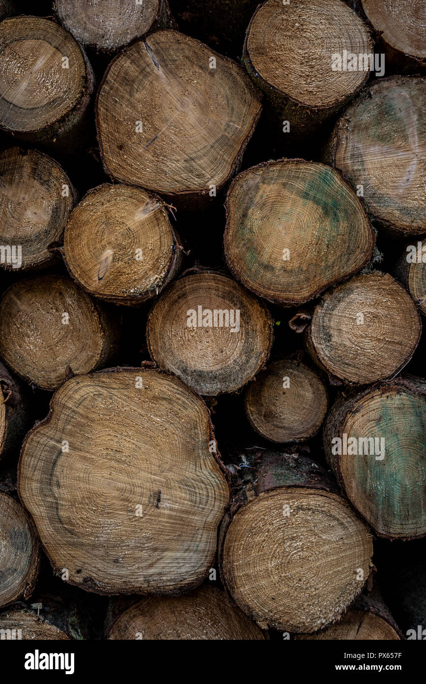 Cut Logs piled in stack/wall. Logging industry/Decoration Stock Photo ...
