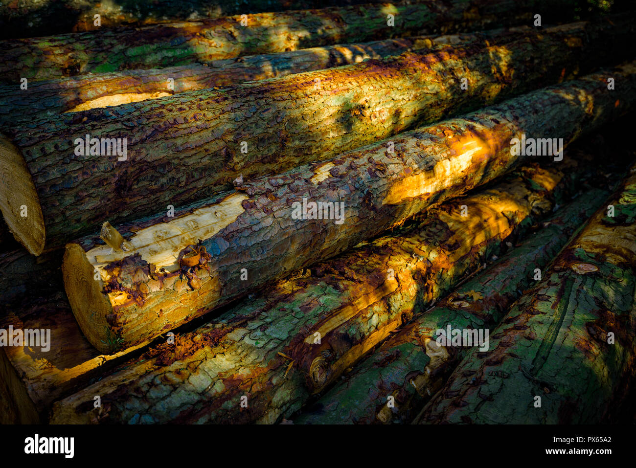 Cut Logs piled in stack/wall. Logging industry/Decoration Stock Photo ...