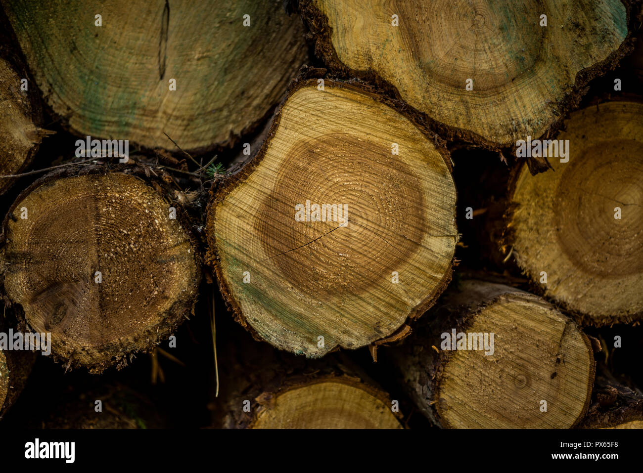 Cut Logs piled in stack/wall. Logging industry/Decoration Stock Photo ...