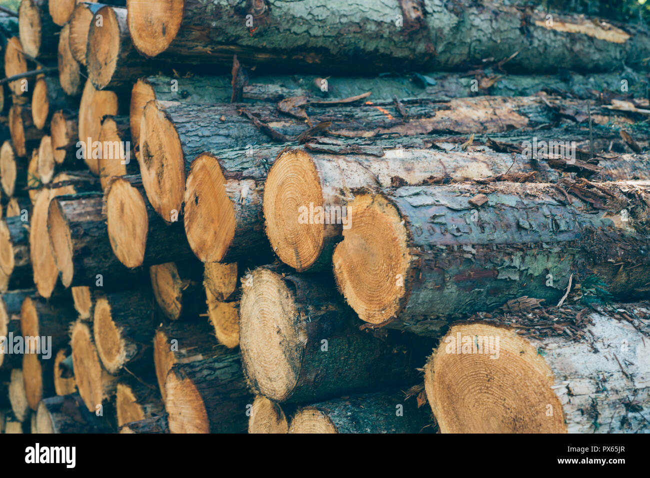 Cut Logs piled in stack/wall. Logging industry/Decoration Stock Photo ...