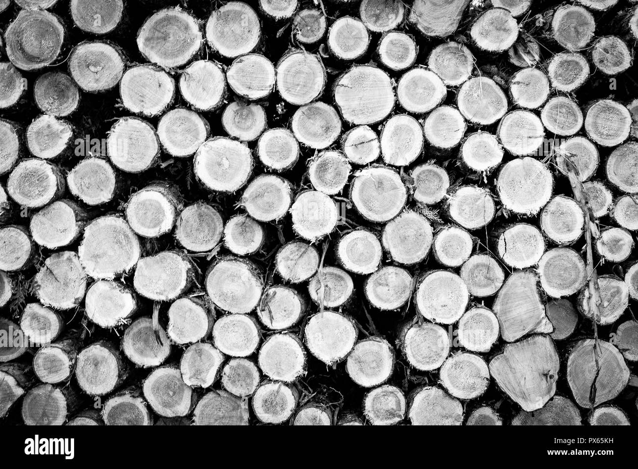 Cut Logs piled in stack/wall. Logging industry/Decoration Stock Photo ...