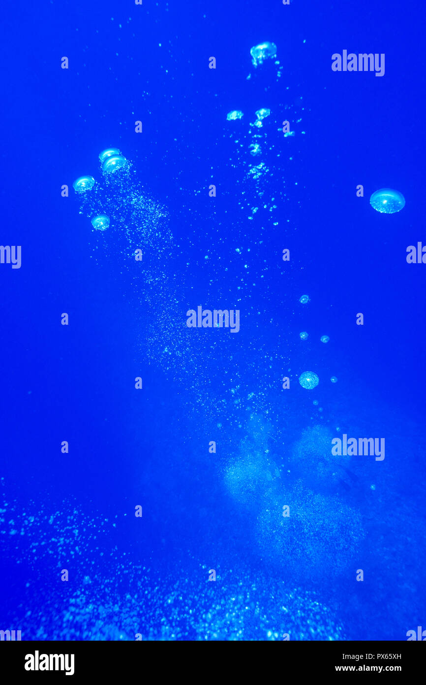 underwater scuba diver bubbles at the Red Sea Stock Photo - Alamy