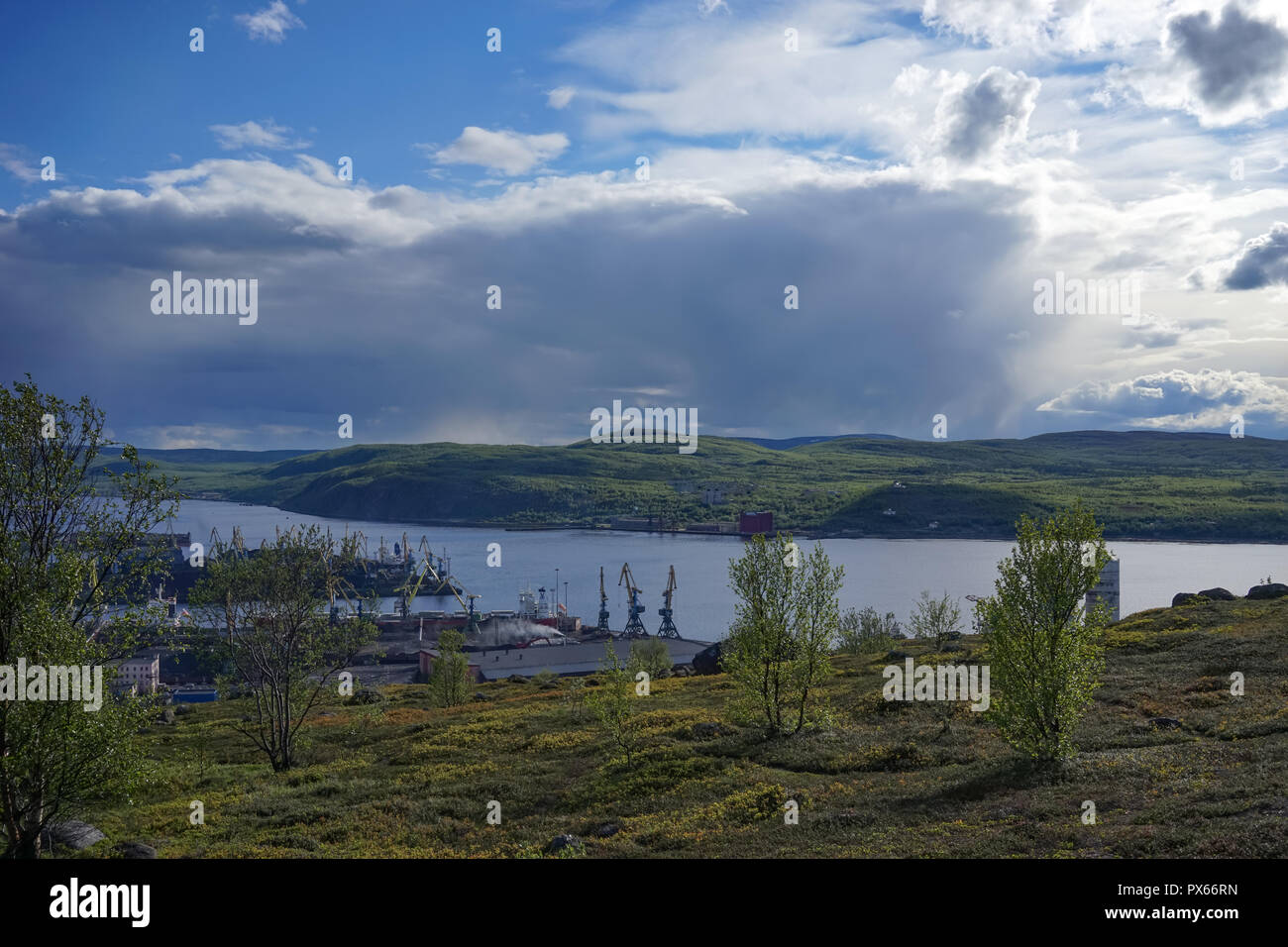 Tundra vegetation hi-res stock photography and images - Alamy