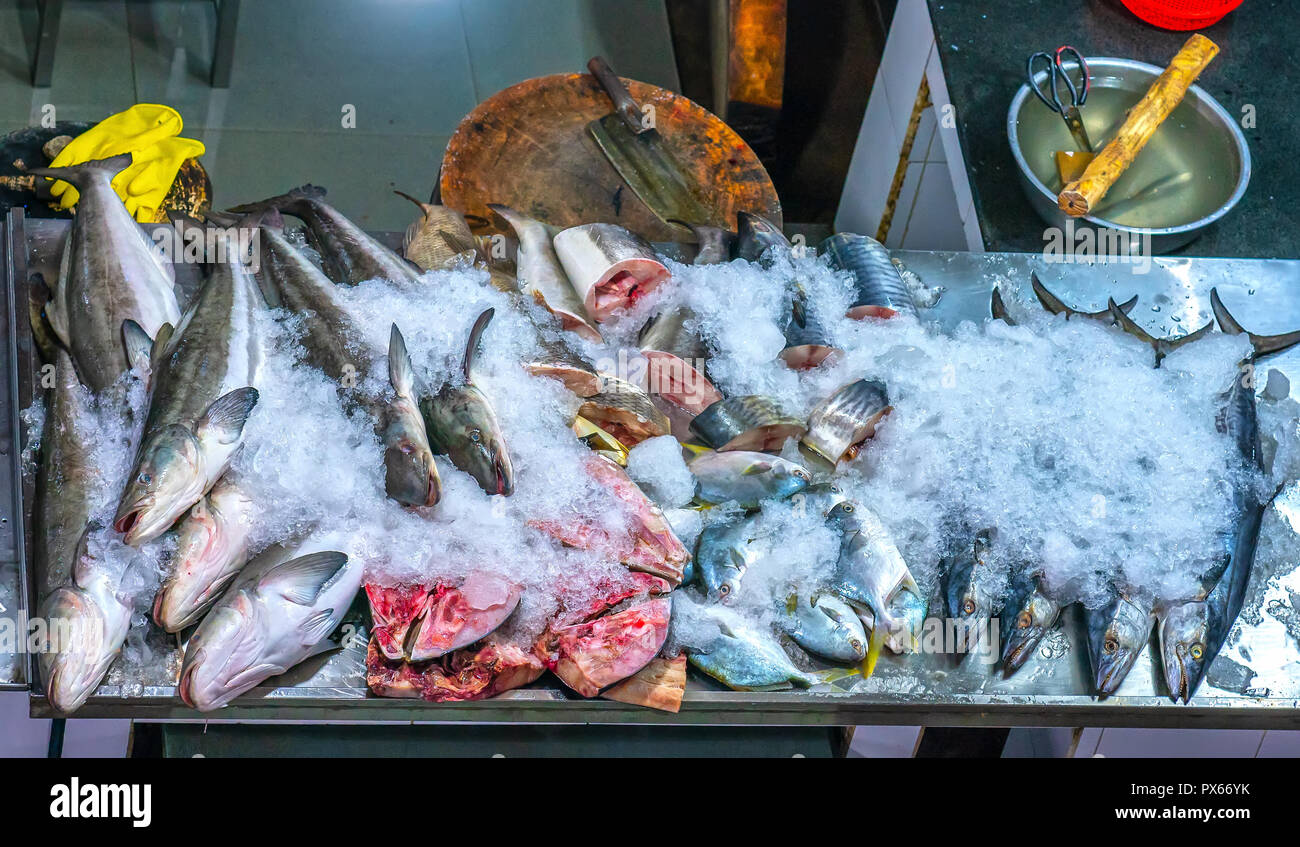 Fish With Human Body