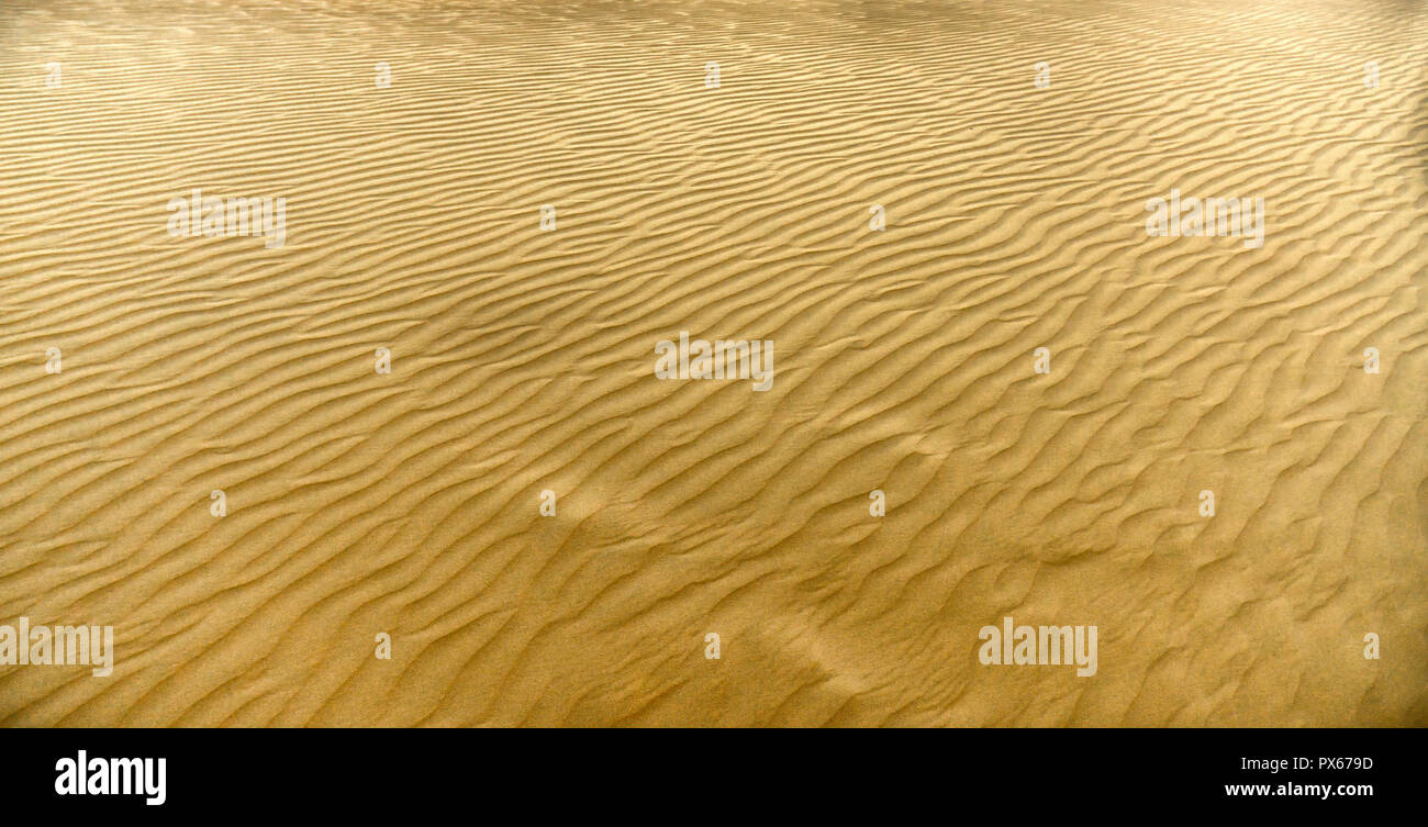 Small dunes when the wind blows path forming beautiful pleats on desert ...
