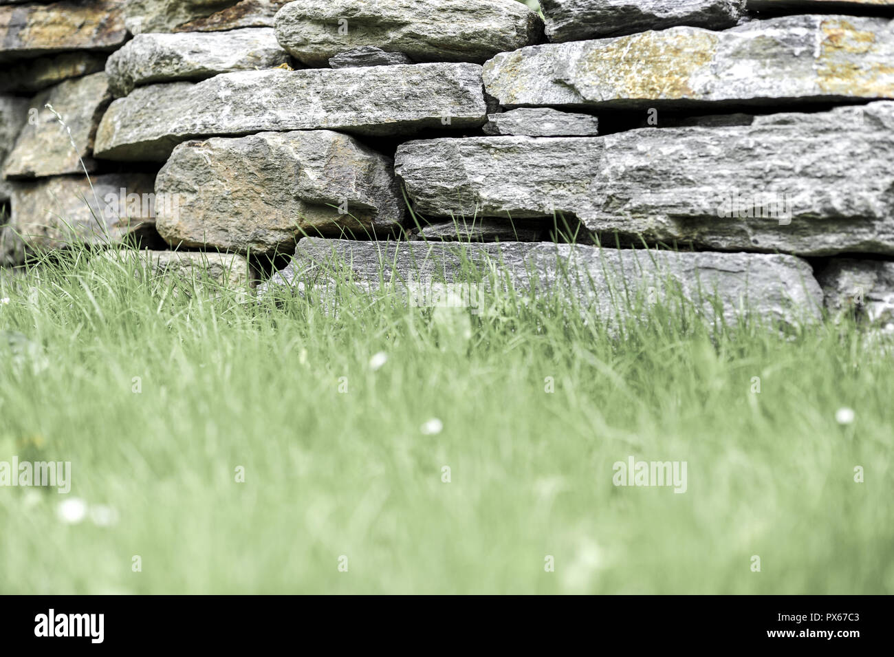 Nature garden with stone wall Stock Photo - Alamy