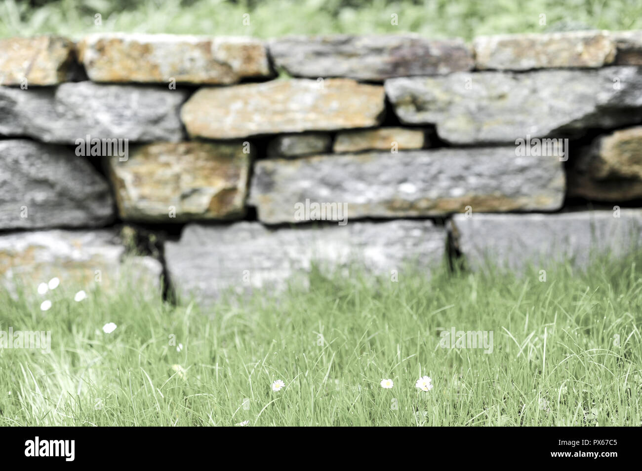 Nature garden with stone wall Stock Photo - Alamy