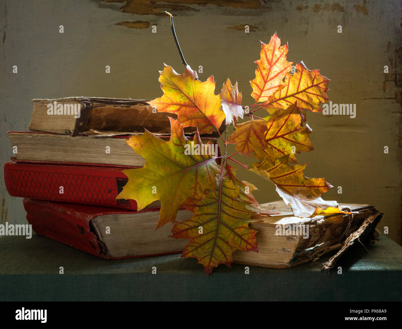 Still life with books and autumn leaves. autumn colors. oak branch ...
