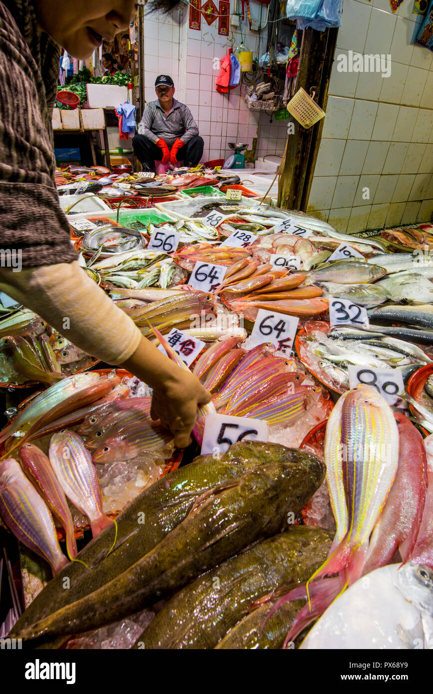 Fish market china squid hi-res stock photography and images - Alamy