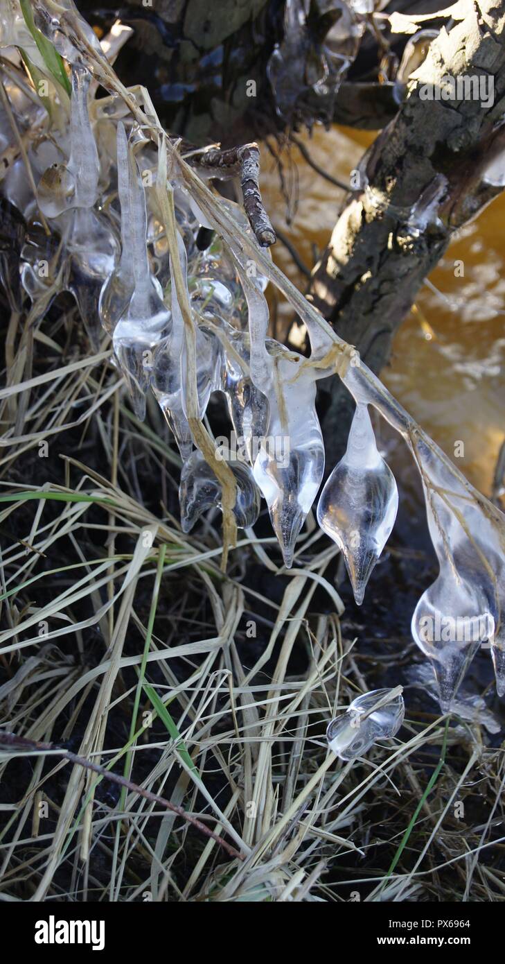 Unusual ice formations on grass and branches Stock Photo - Alamy