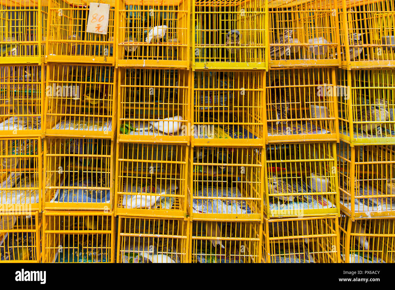 Yuen Po Street Bird Garden market, Mongkok, Kowloon, Hong Kong, China ...