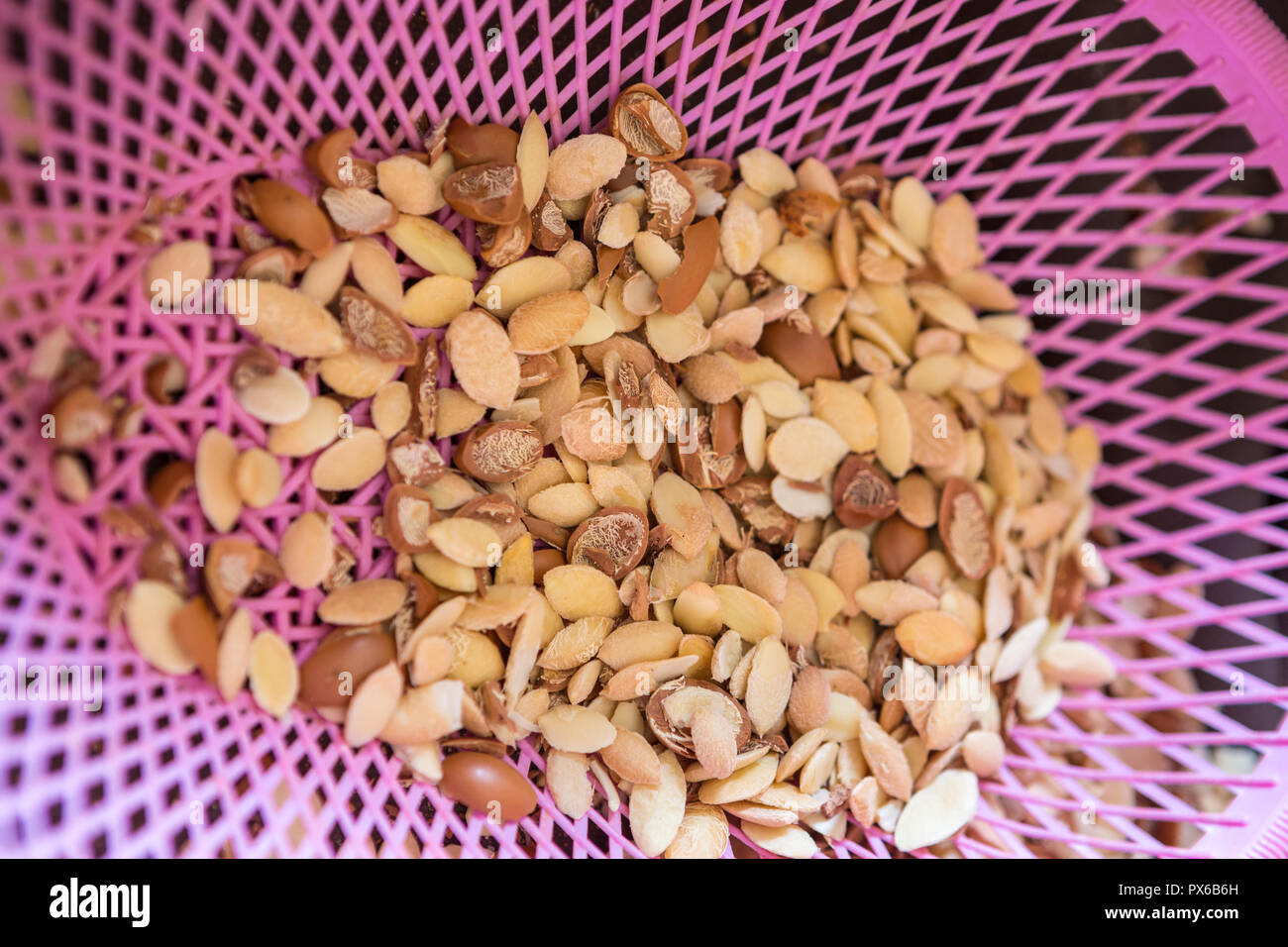 Argan fruit hi-res stock photography and images - Alamy