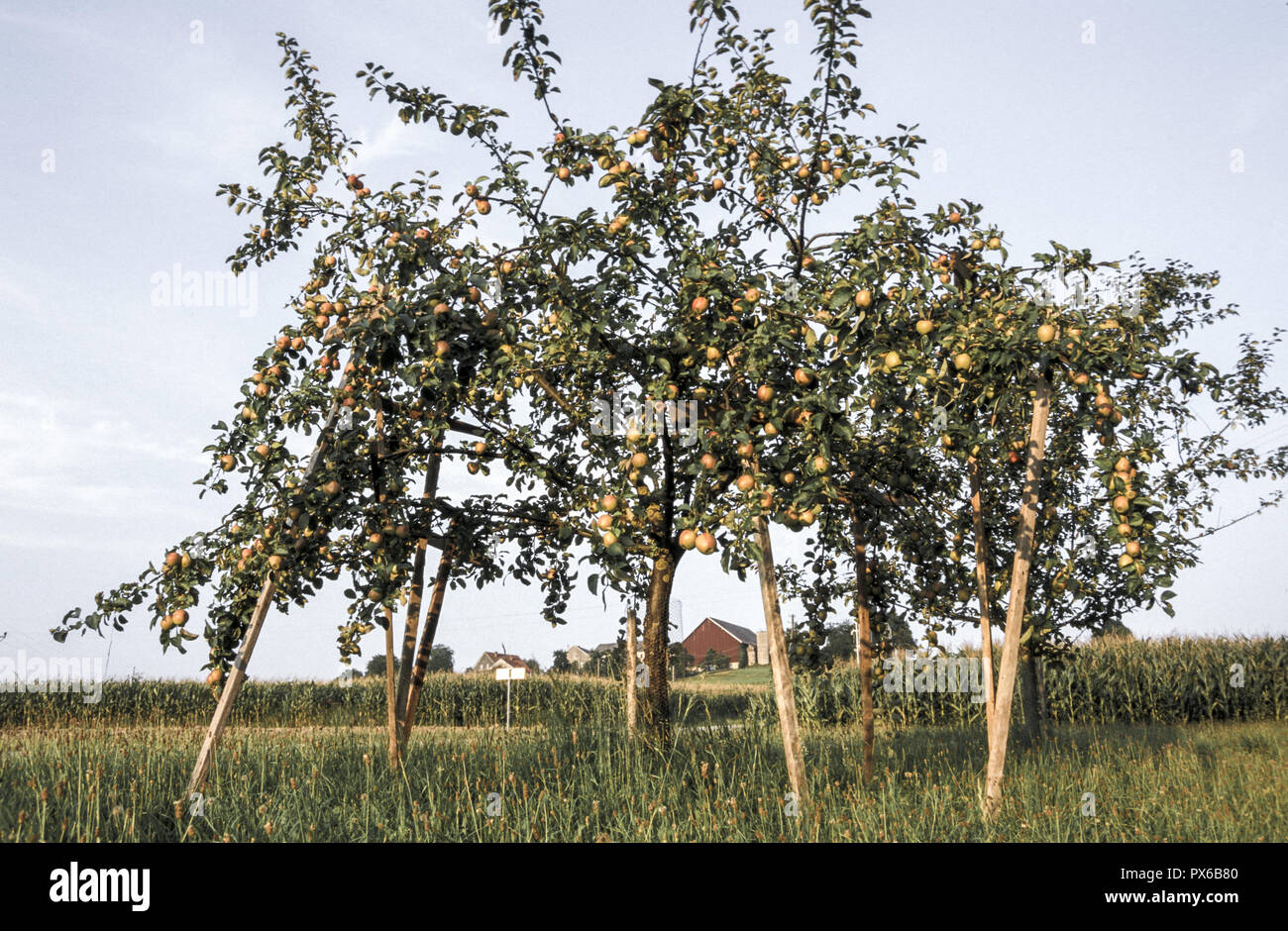 Schaerding area hi-res stock photography and images - Alamy