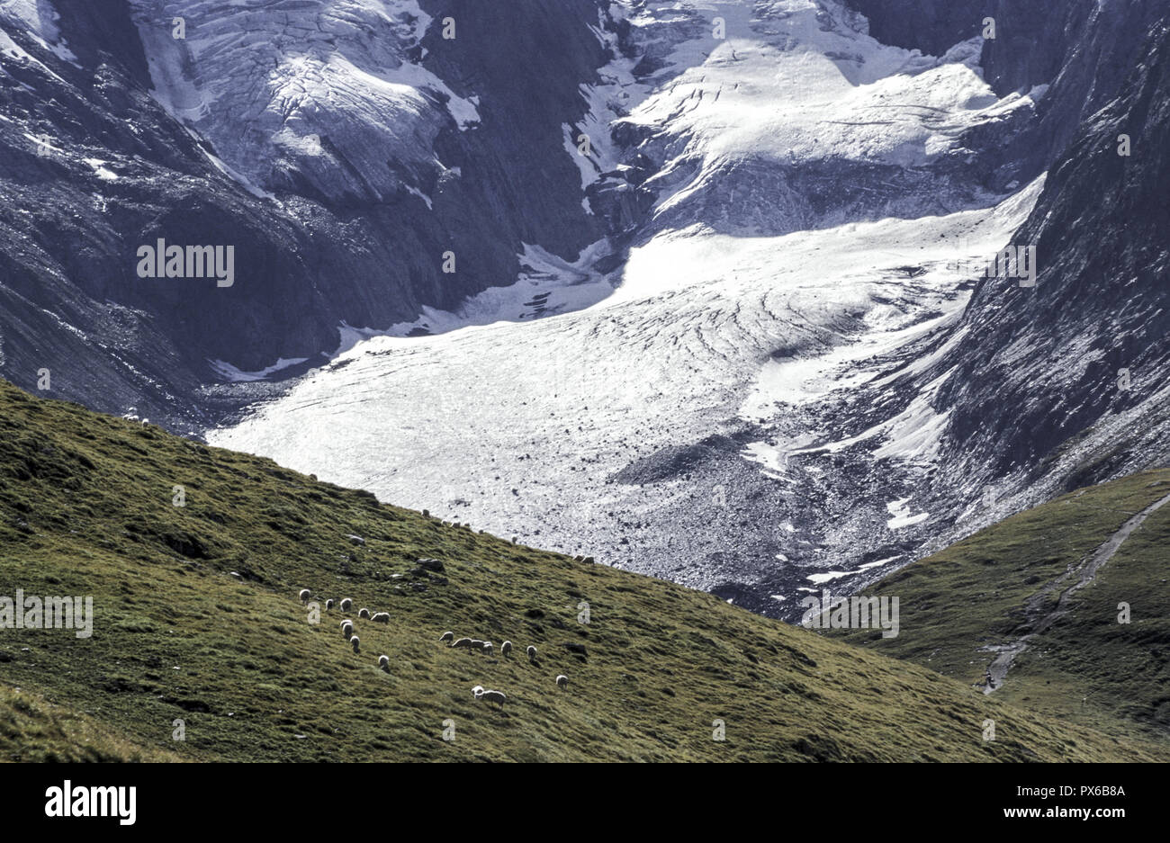 Rotmoos glacier, Austria, Tyrol, Oetz valley Stock Photo - Alamy