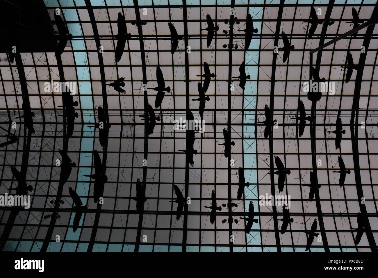 Toronto eaton centre birds hi-res stock photography and images - Alamy