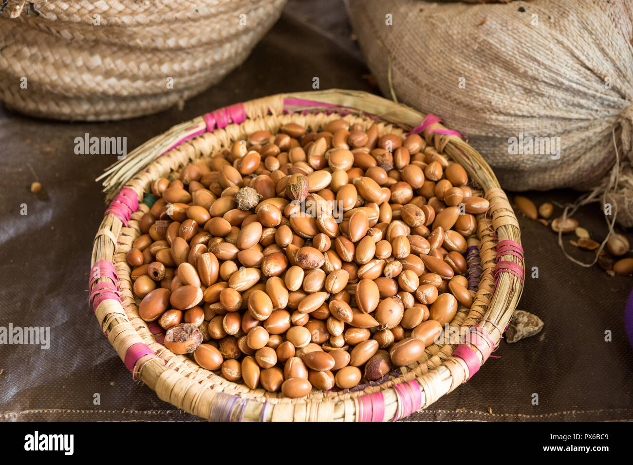 Argan fruit hi-res stock photography and images - Alamy