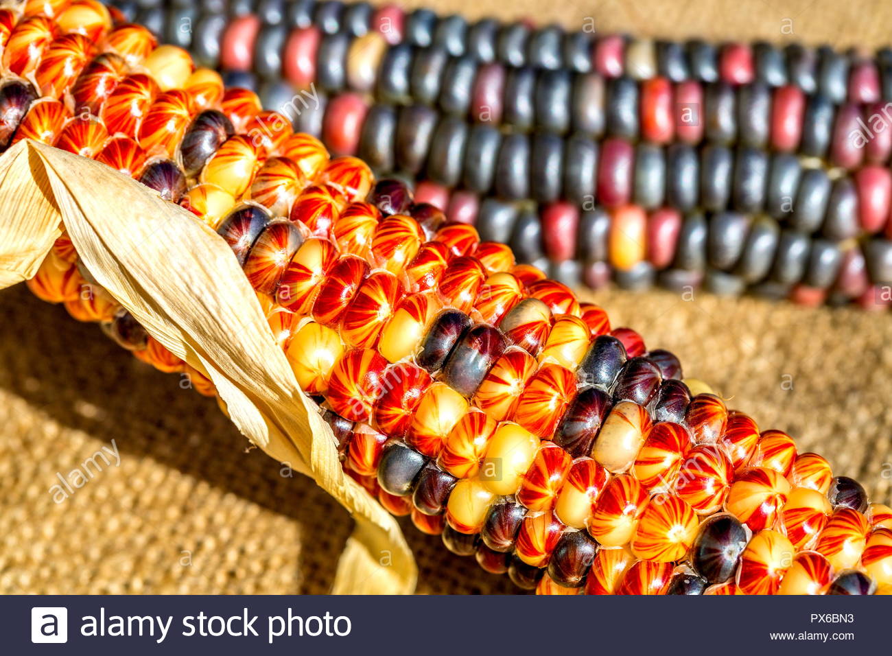 Indian Food Crop Stock Photos & Indian Food Crop Stock Images - Alamy