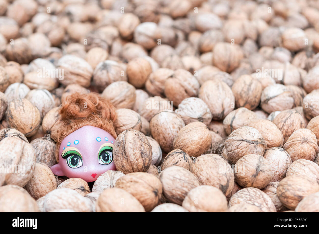pink doll head sticking out of a pile of walnuts, close-up Stock Photo ...