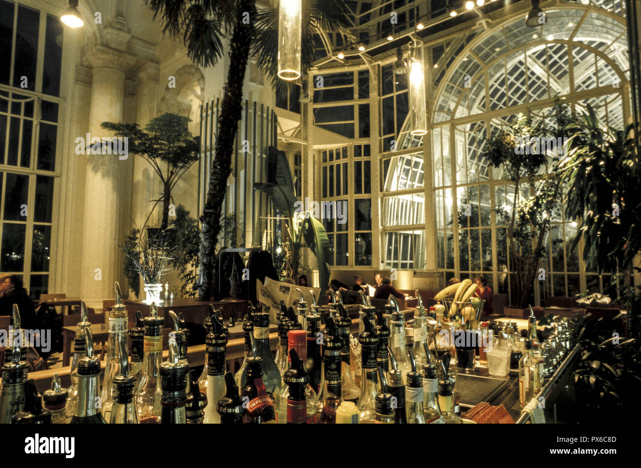 Park Burggarten Vienna, cafe in the palm house, Austria, Vienna, pub ...