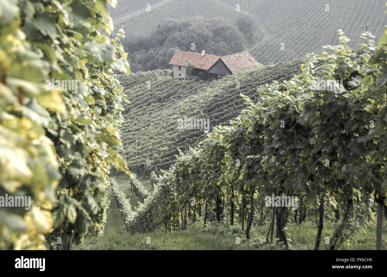 Wine route Südsteirische Weinstrasse, Austria, Styria, Southern Styria ...