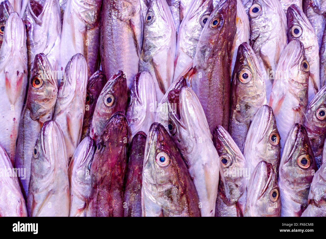 Fresh fish for sale in display Palma de Mallorca Market Spain fresh ...