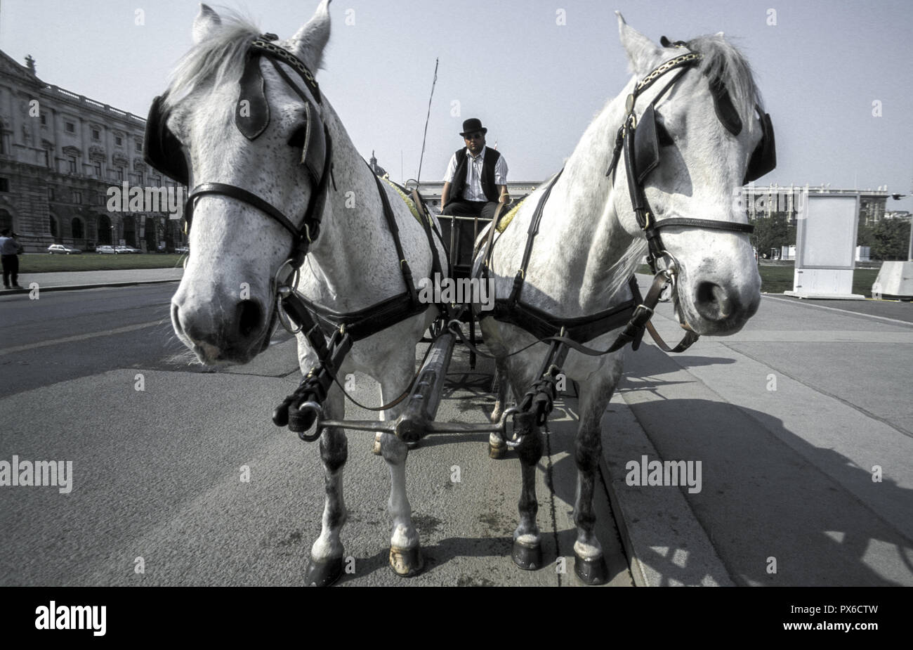 Vienna fiacre hi-res stock photography and images - Alamy