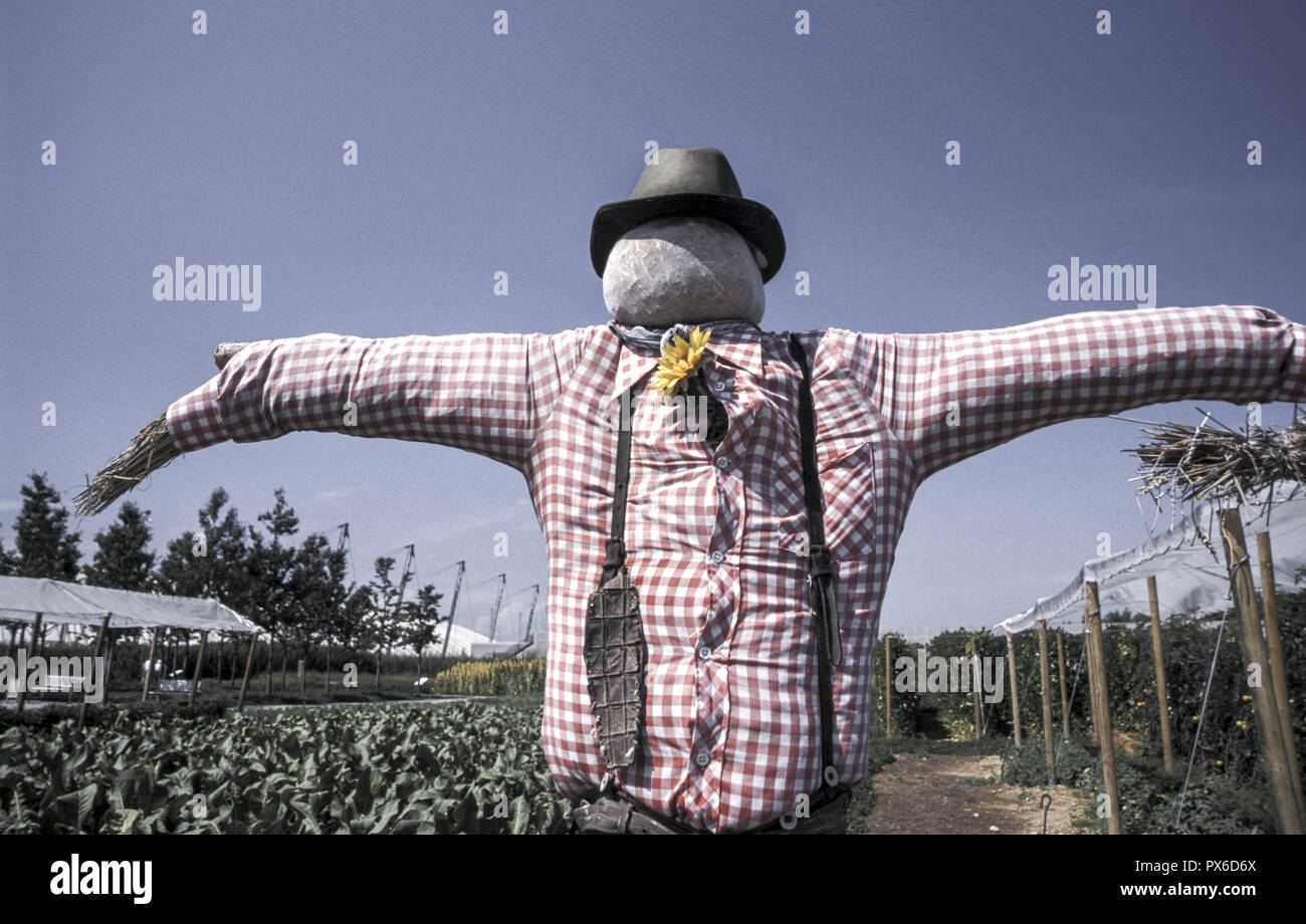 The scarecrow 2000 hi-res stock photography and images - Alamy