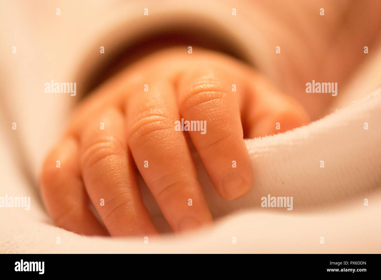 picture of little baby's hand Stock Photo - Alamy