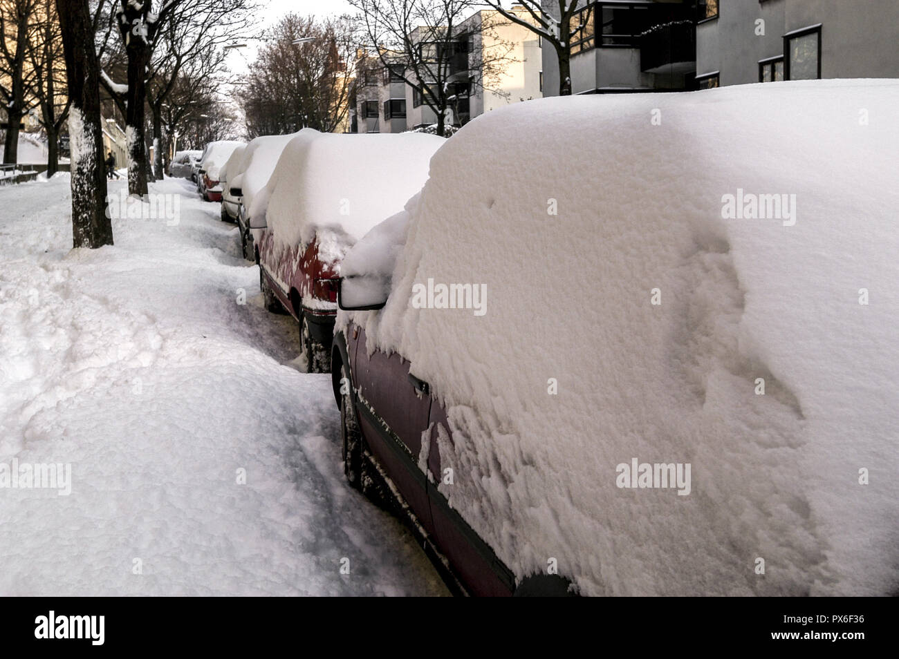 Winter in Vienna, snow, Austria, Vienna Stock Photo - Alamy