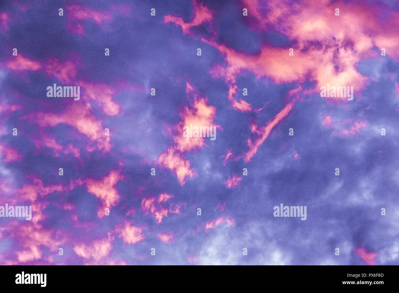 Beauteous evening, pink clouds Stock Photo - Alamy
