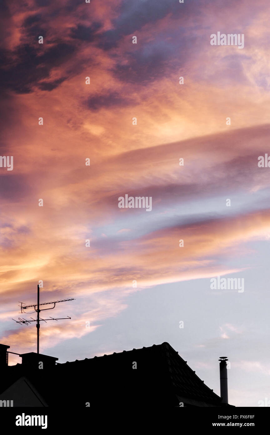 Beauteous evening, pink clouds, silhouette Stock Photo - Alamy