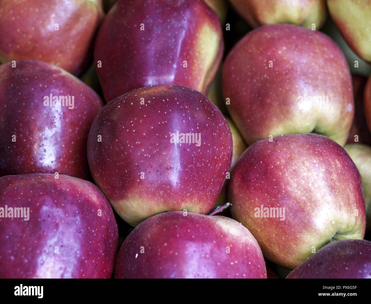 Gloster apple hi-res stock photography and images - Alamy