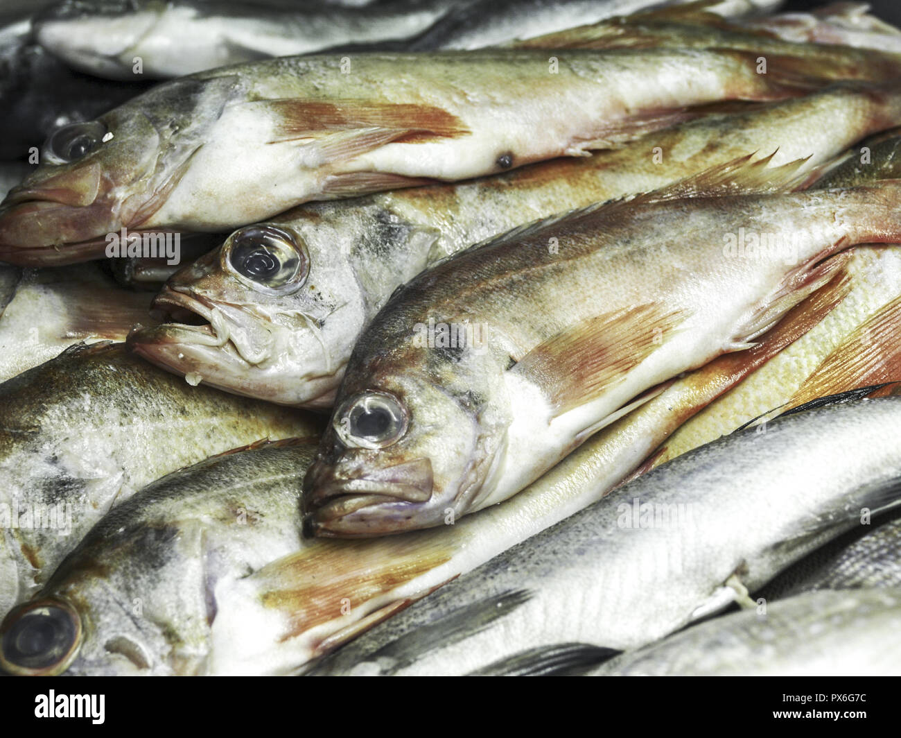 Naschmarkt fresh fish Stock Photo - Alamy