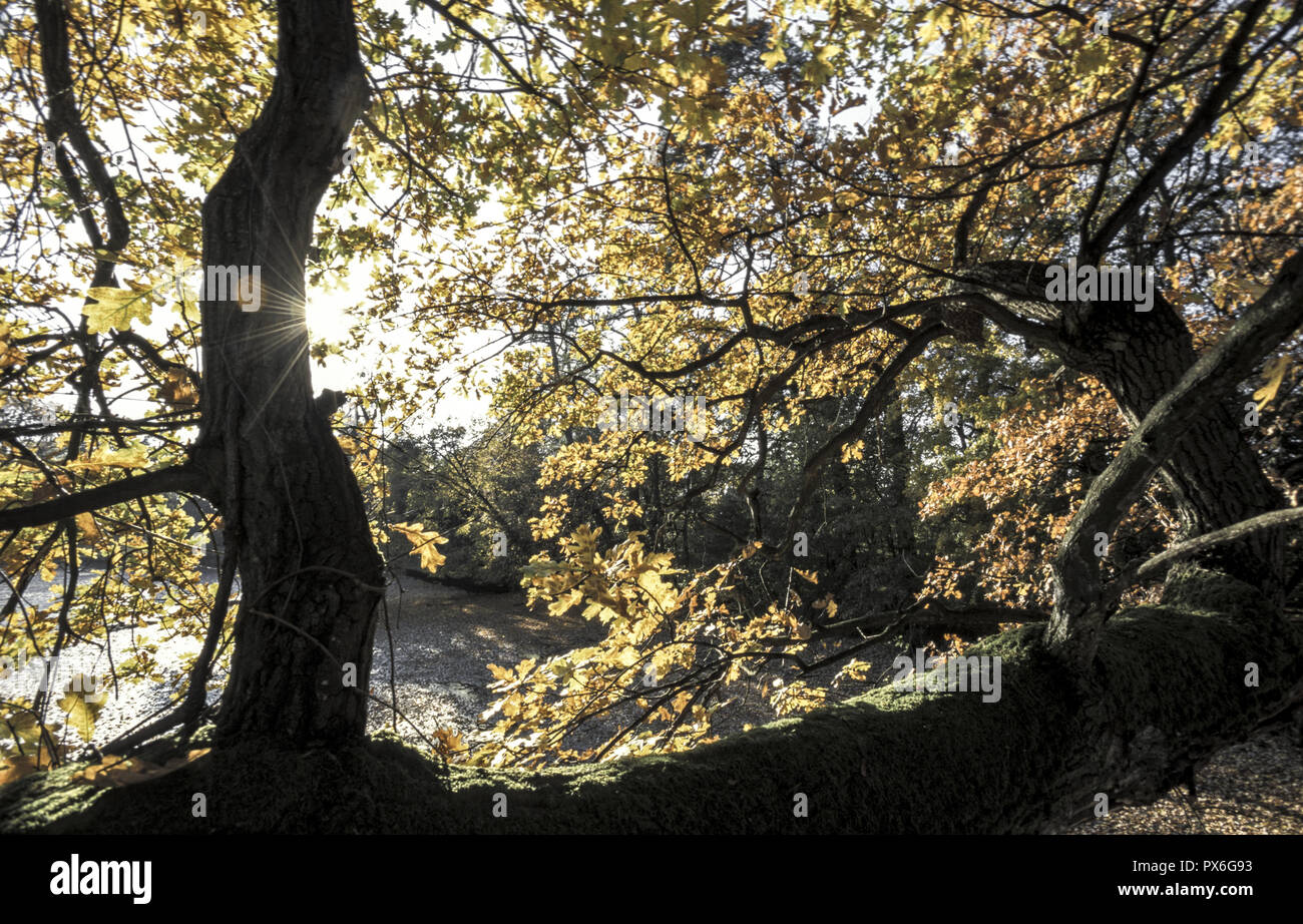 Landscape garden (World Heritage Site), Czech Republic, Southern Morava ...