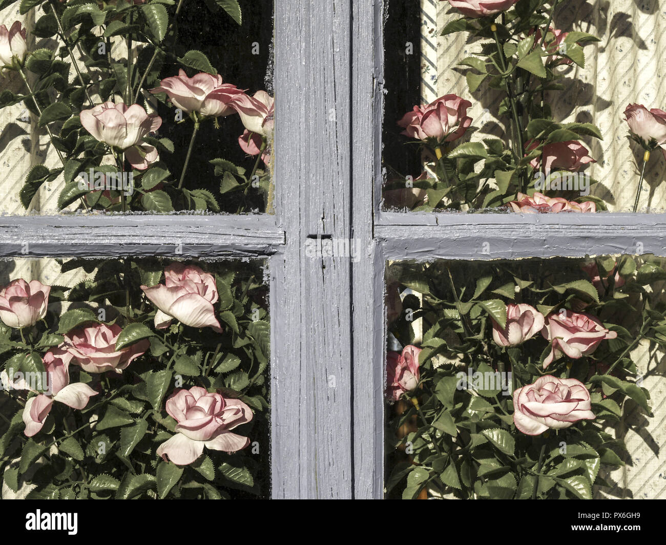 Artificial rose, blue window cross Stock Photo - Alamy