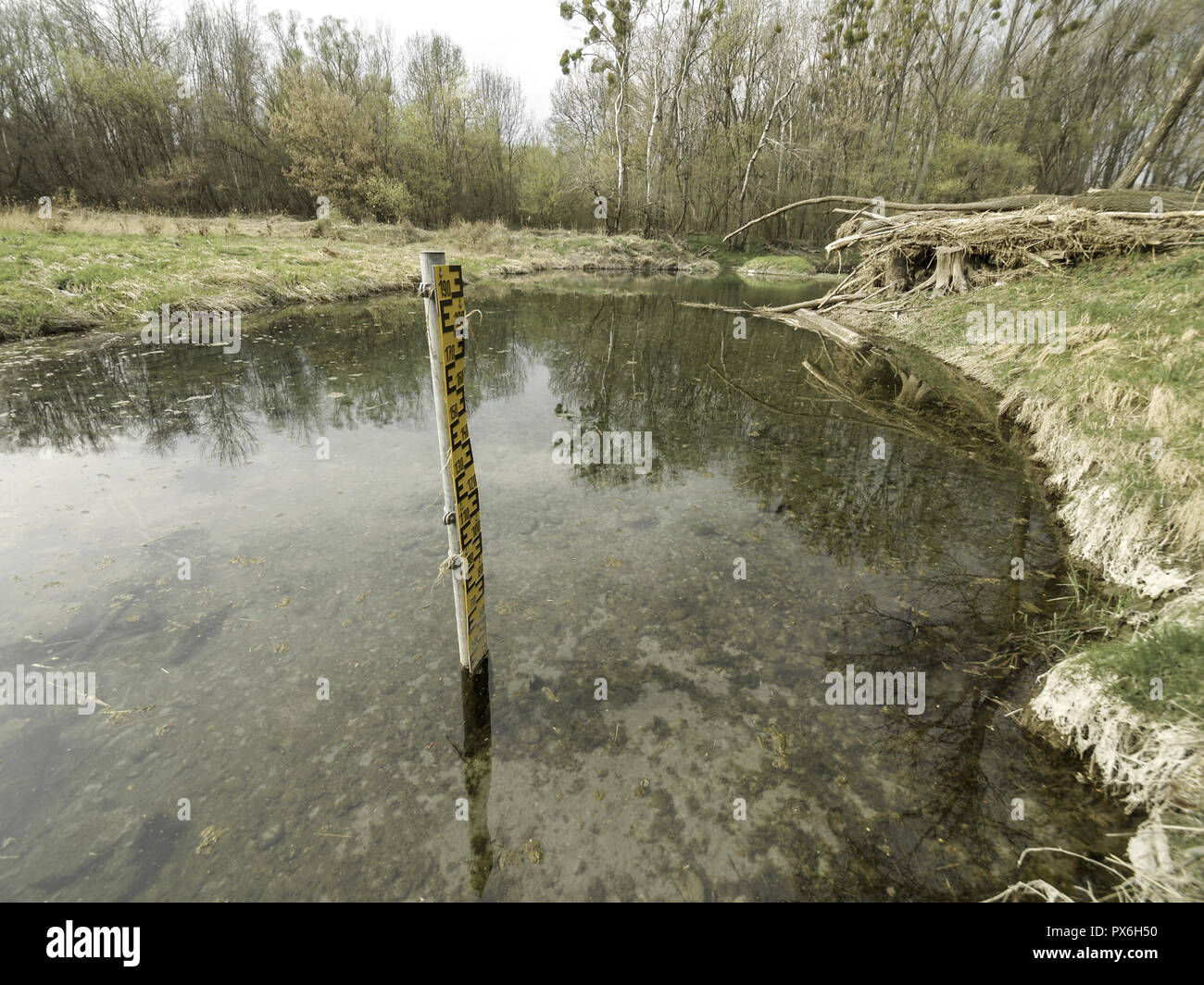 National park Donauauen, Austria, Lower Austria, Vienna area Stock ...