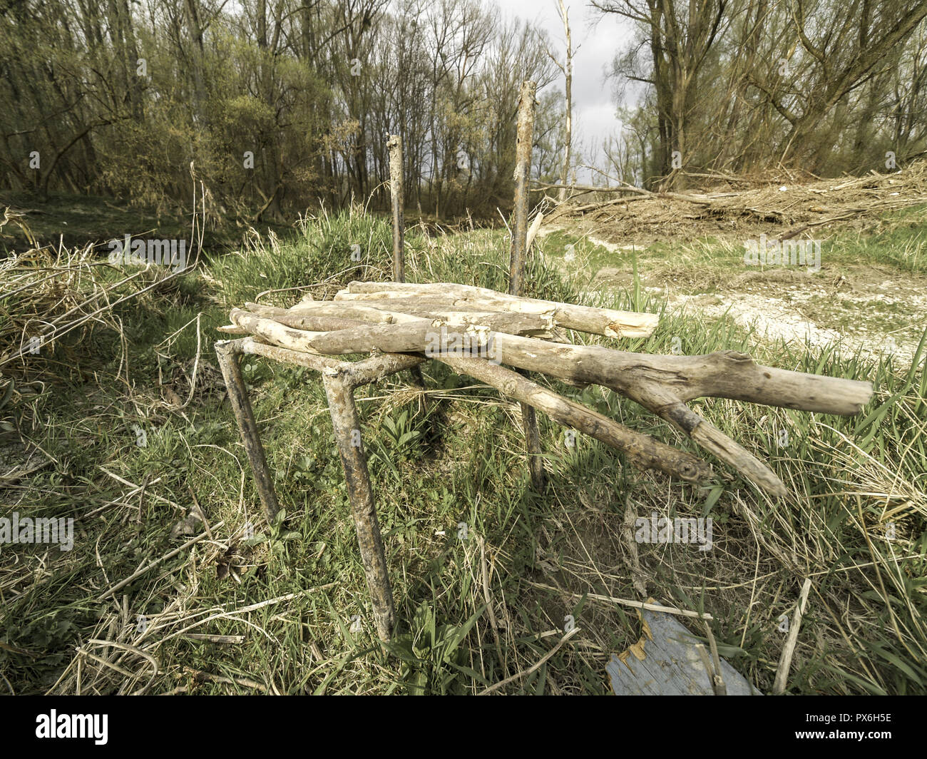 National park Donauauen, Austria, Lower Austria, Vienna area Stock ...