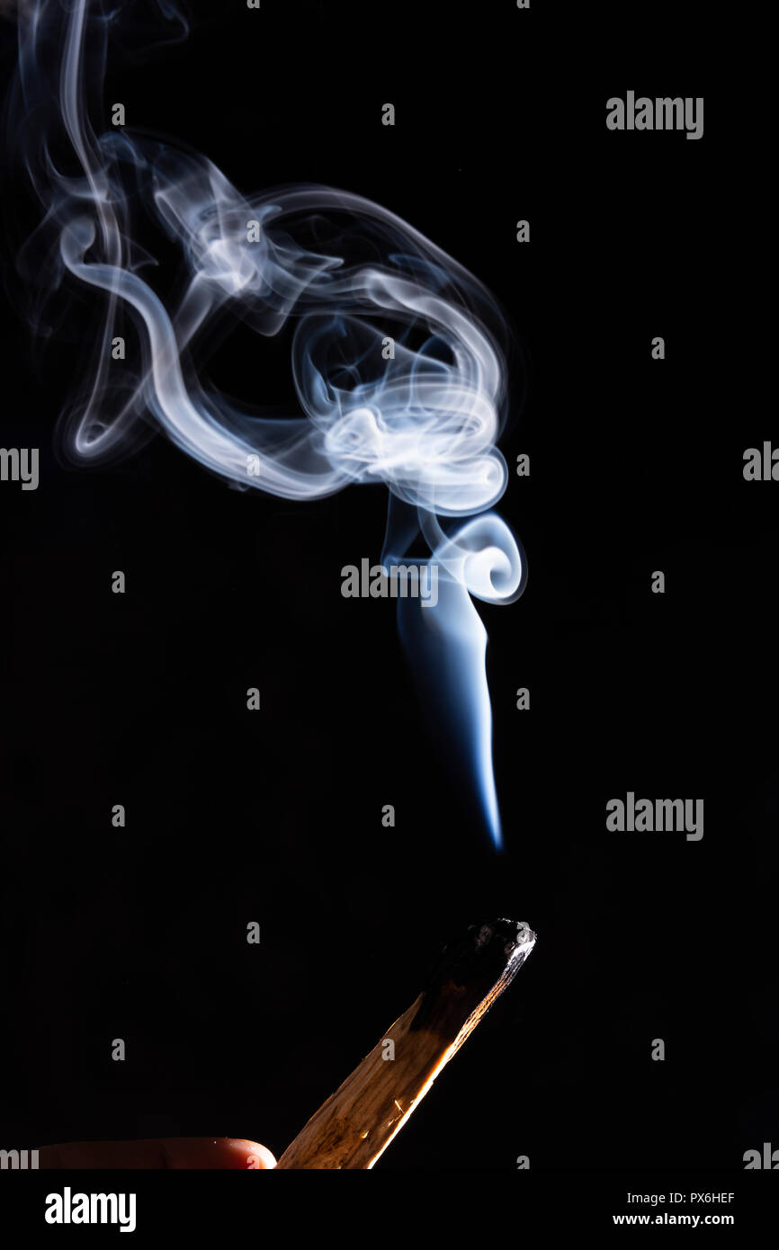 Palo santo wooden stick on fire and with smoke on black background ...