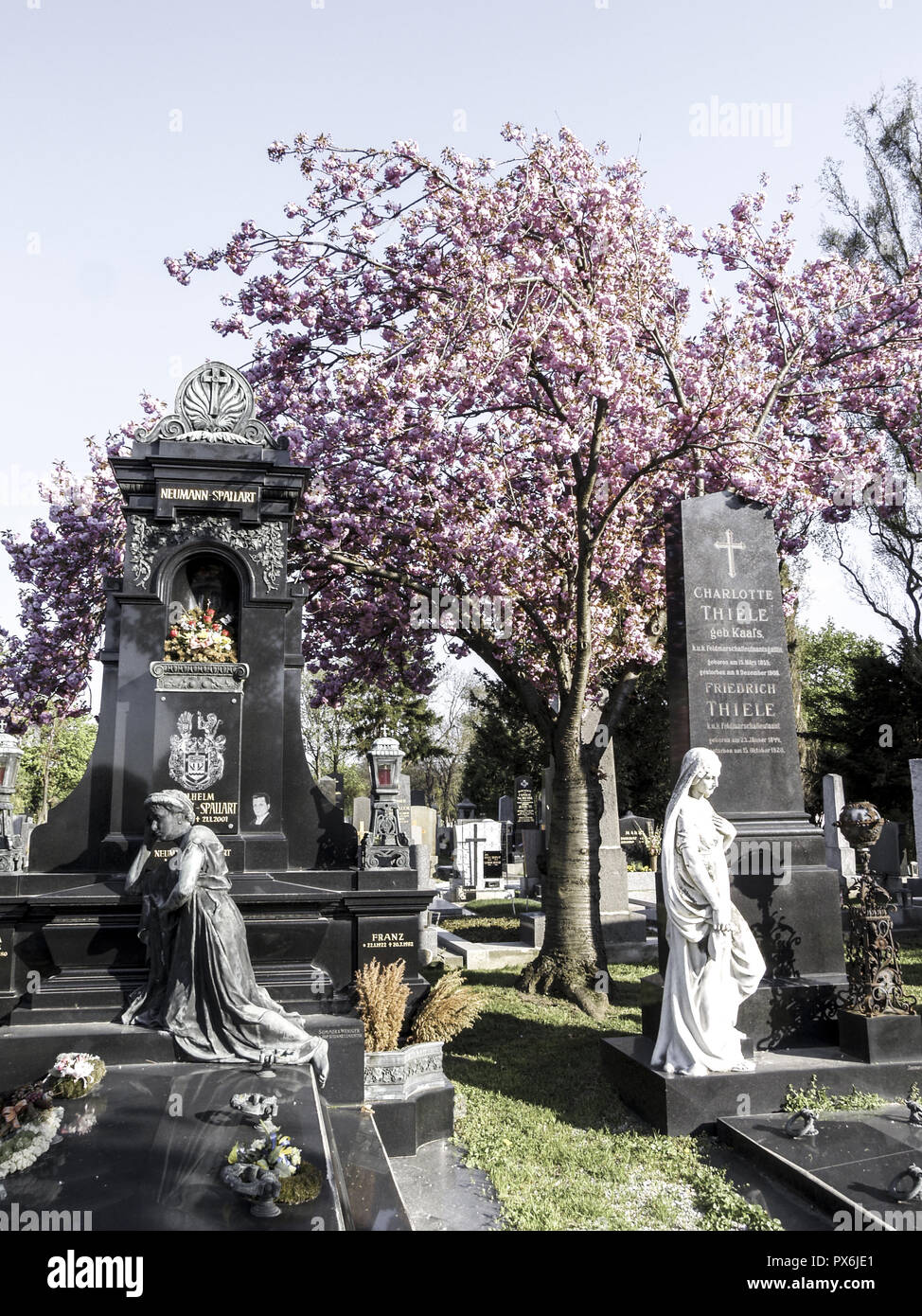 Vienna, central cemetery, Austria, 11. district, central graveyard ...