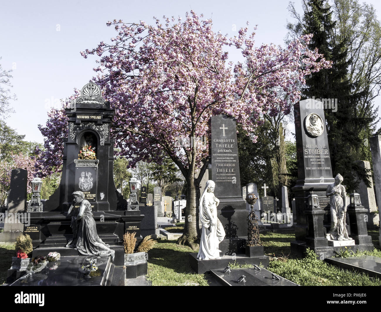 Vienna, central cemetery, Austria, 11. district, central graveyard ...