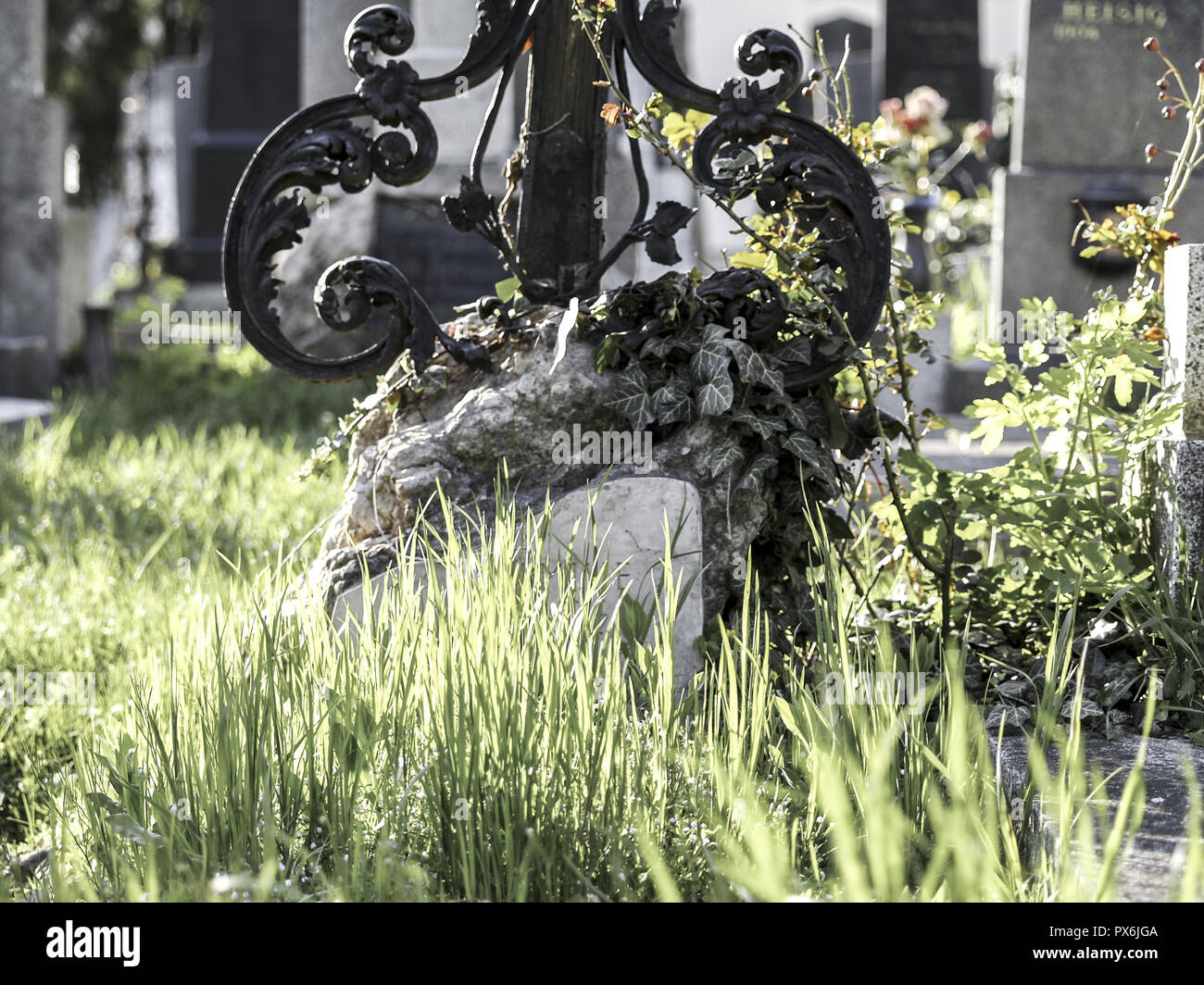 Vienna, central cemetery, Austria, 11. district, central graveyard ...