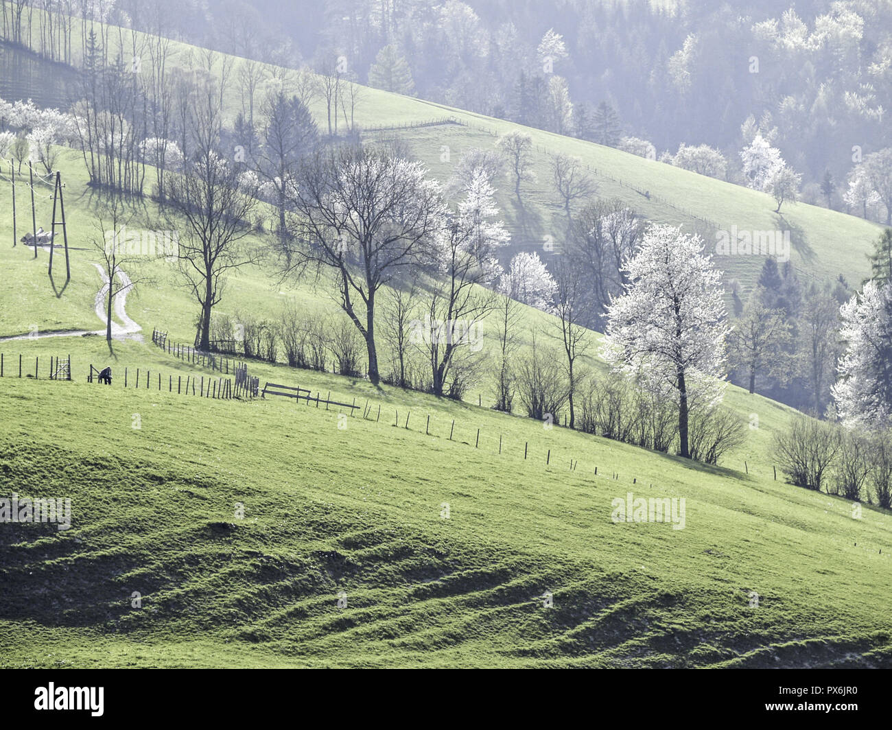 Undulating landscape Mostviertel, Austria, Lower Austria, Mostviertel ...