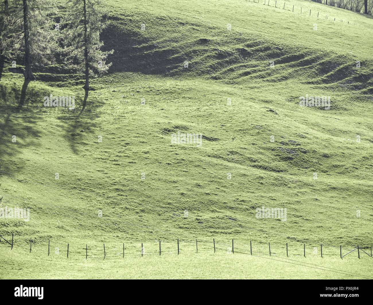Undulating landscape Mostviertel luscious green, Austria, Lower Austria ...