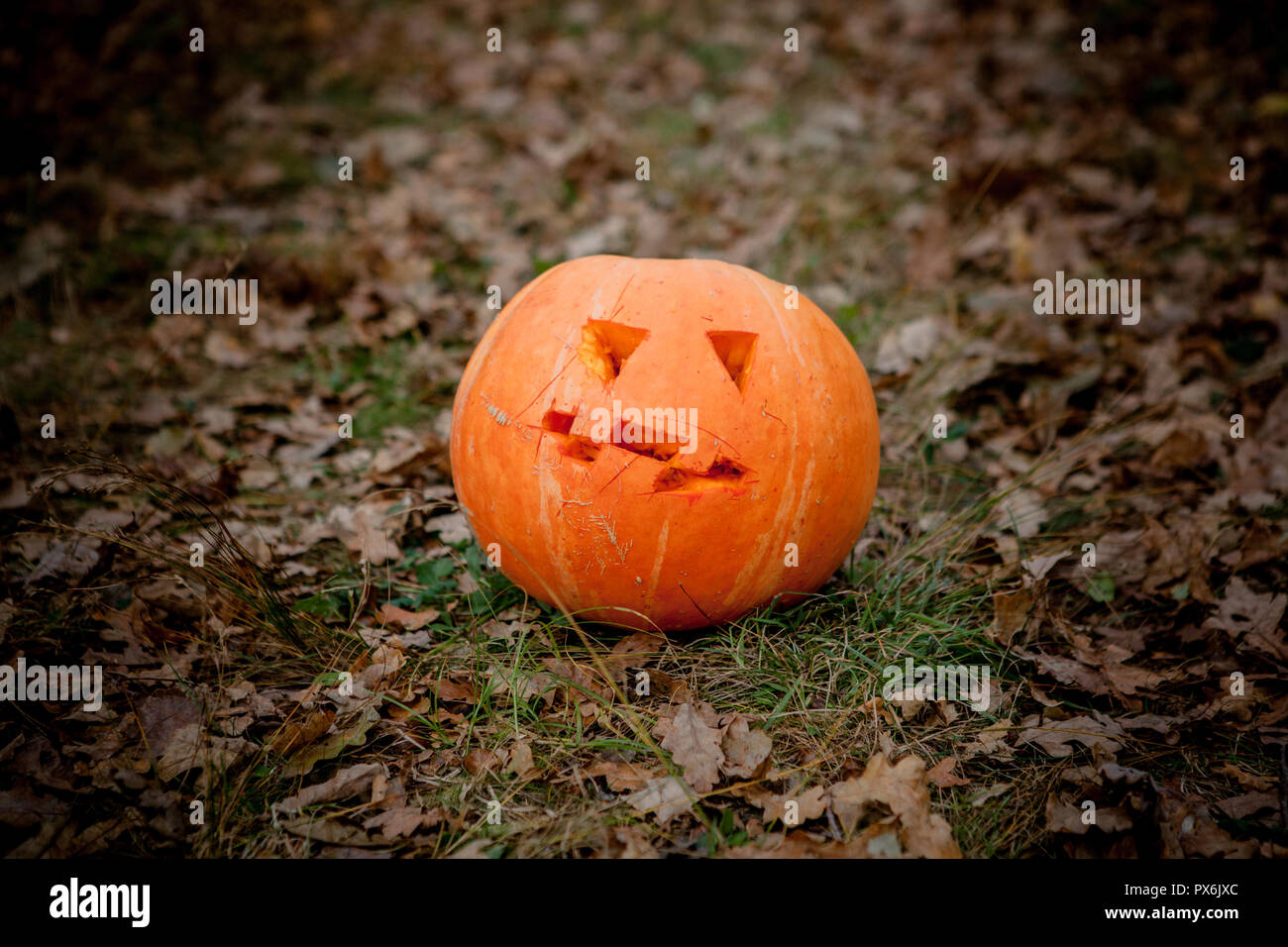 Creepy smile in a tree hi-res stock photography and images - Alamy