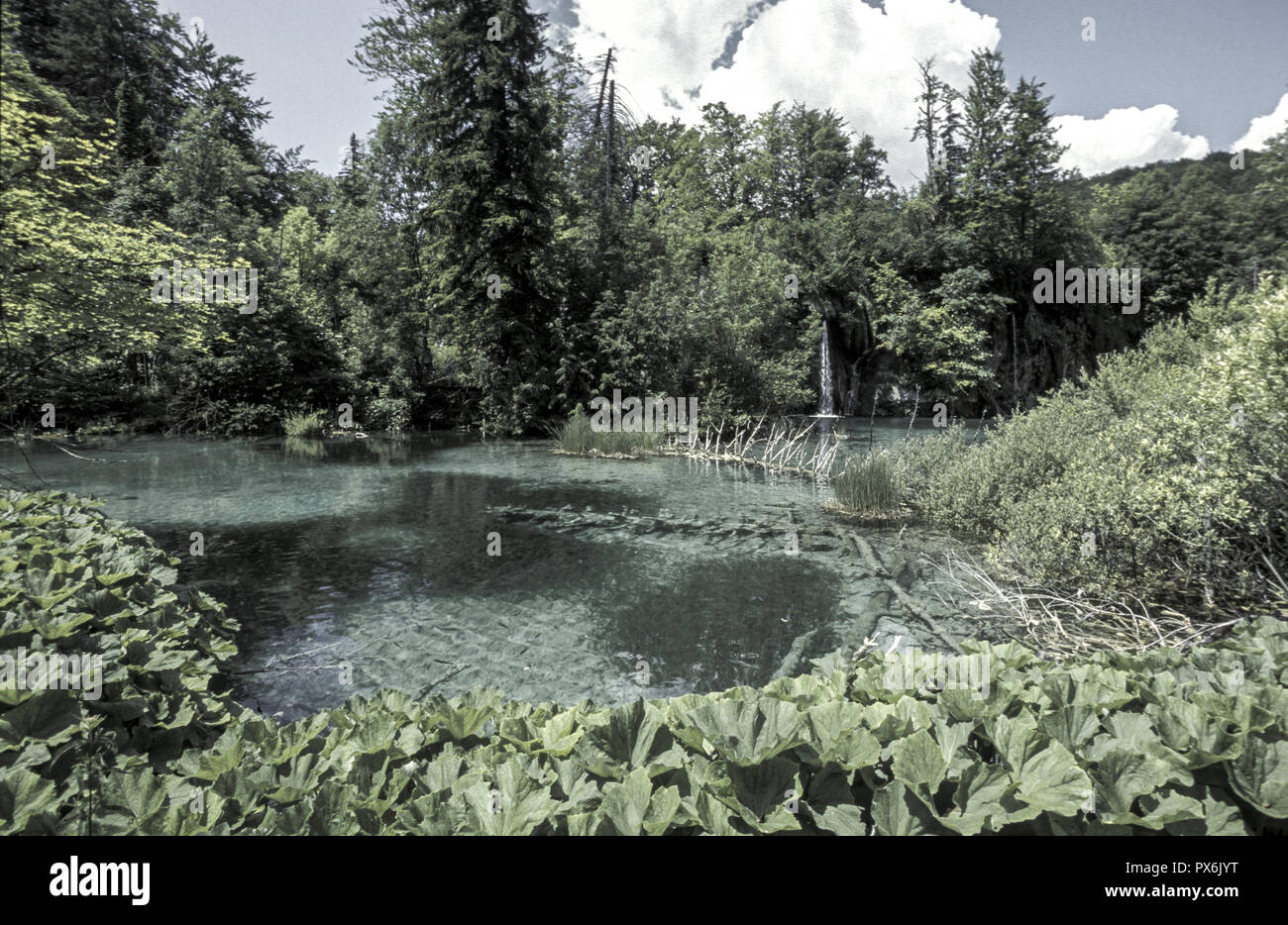 UNESCO World Heritage, Nationalpark Plitvice Lakes, Croatia, NP ...